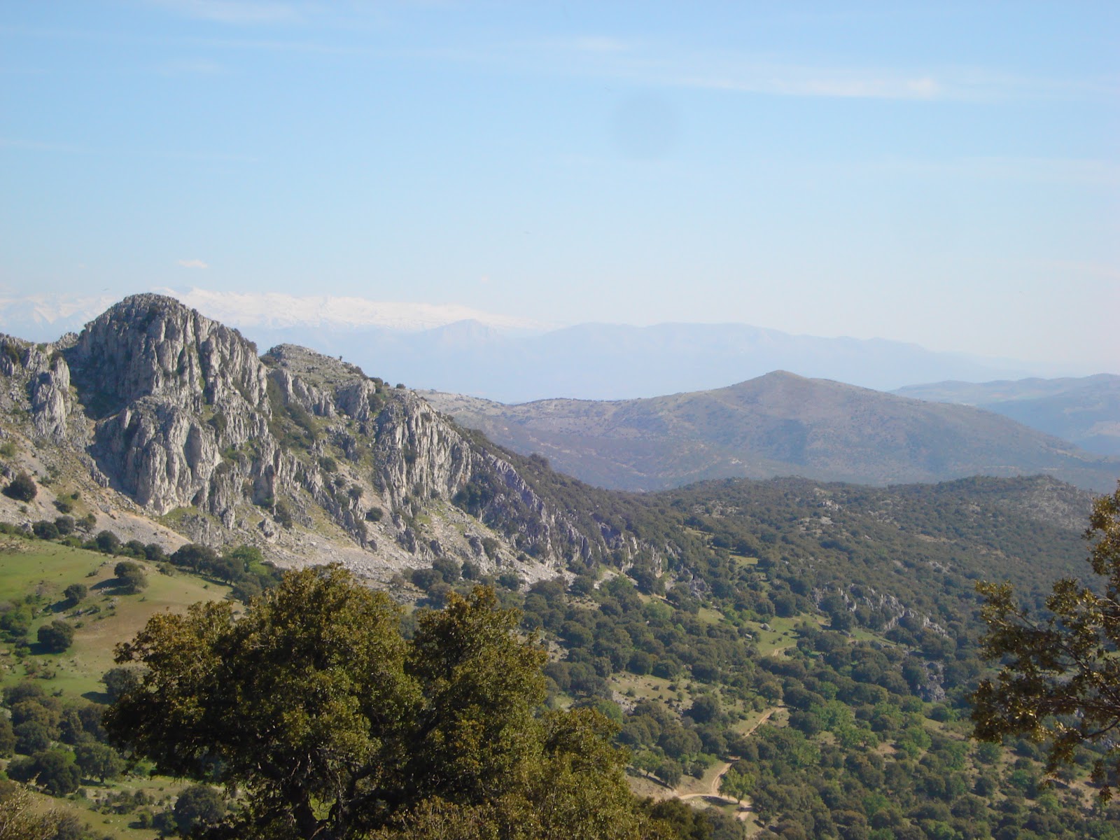 ZONAS DE ESCALADA DE JAEN: TORRES