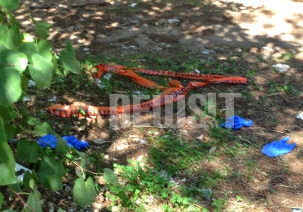 ΞΕΚΑΘΑΡΙΣΜΑ ΛΟΓΑΡΙΑΣΜΩΝ ΠΙΣΩ ΑΠ΄ΤΟ ΑΓΡΙΟ ΕΓΚΛΗΜΑ ΤΗΣ ΚΑΙΣΑΡΙΑΝΗΣ ...