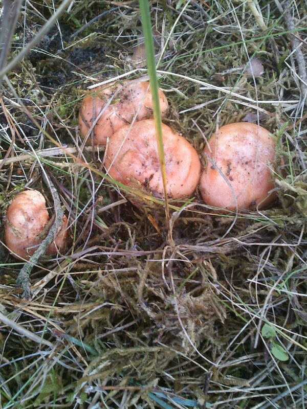 tam, gdzie jest miło i zawsze jest czas aby się zatrzymać