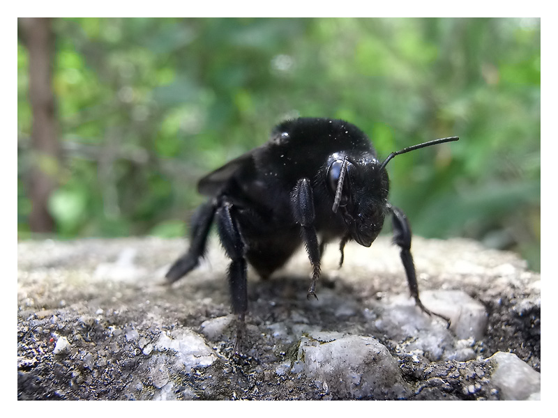 Centro de Informação e Assistência Toxicológica da Bahia – CIATox-BA ...