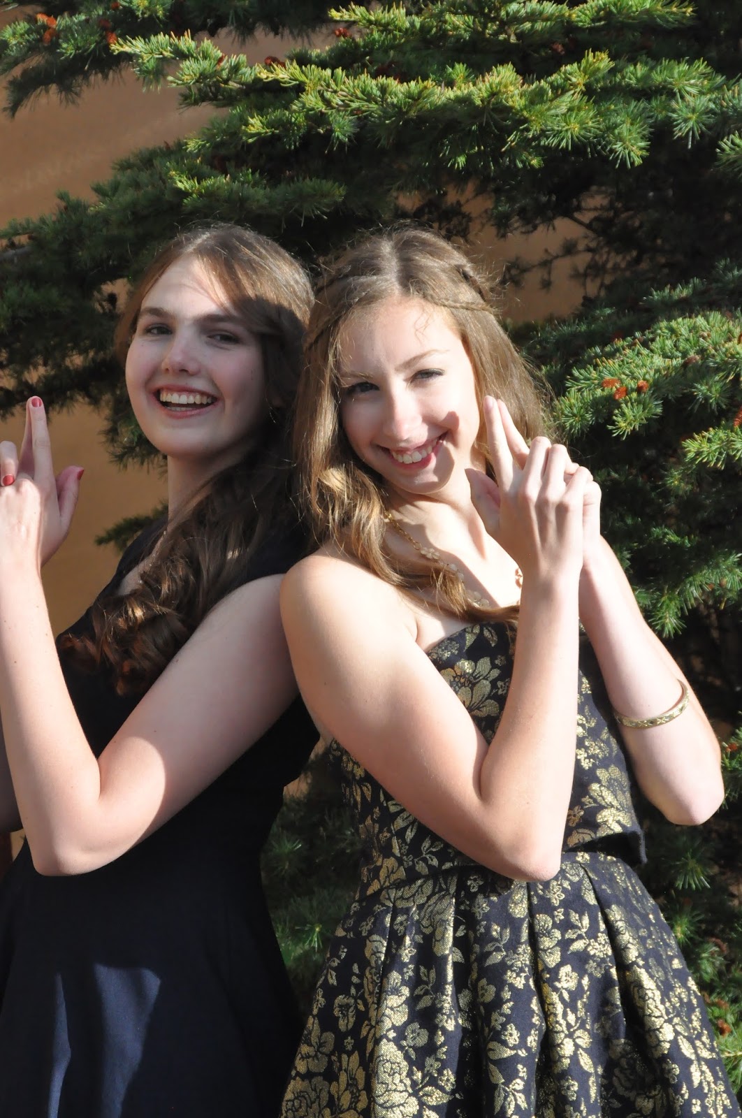 Adventures of the Girls and their Little Brother: Prom Night 2016!