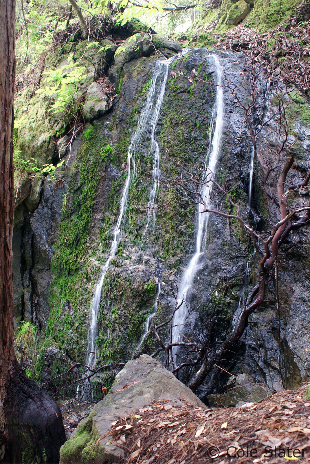 Cole's Trail Tales: Marin Waterfall Hike - Tucker Falls - 4-22-11