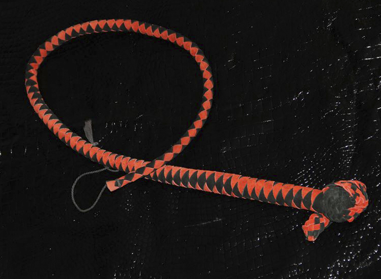 Villi-Ira.net: Hyvä piiska