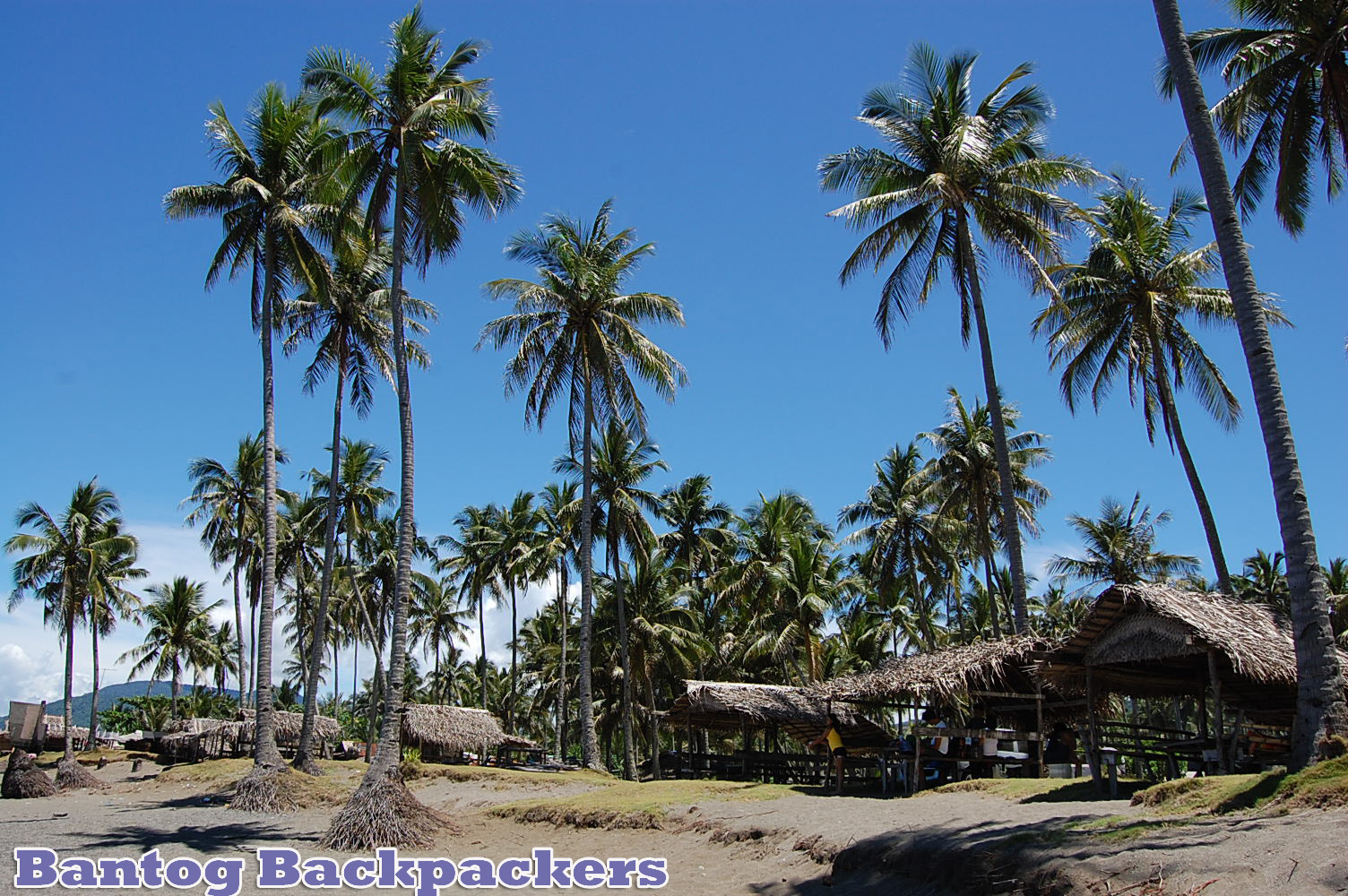 Dingalan, Aurora : Sea Ranch in Brgy. Cabog (Matawe) | Bantog Backpackers
