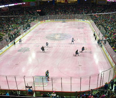 Triple Negative Breast Cancer, "I Won't Back Down!": Toledo Walleye ...