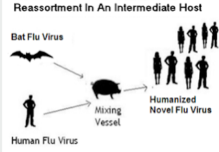 Avian Flu Diary: J. Virology: Isolation & Characterization of a ...