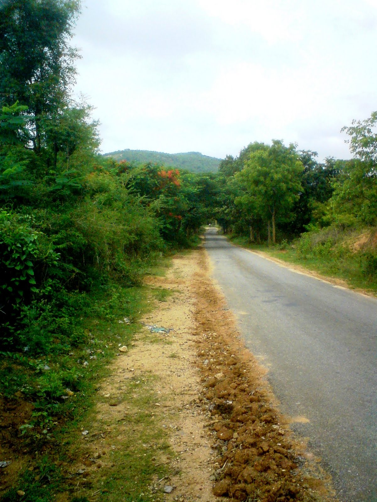 The Psychelist: Month-end Ride to Anchetti