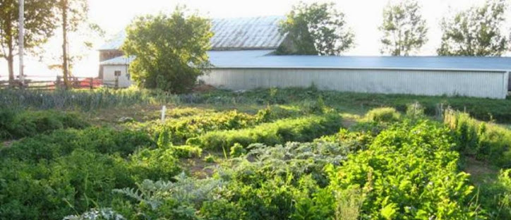 Ferme Labonté et Filles
