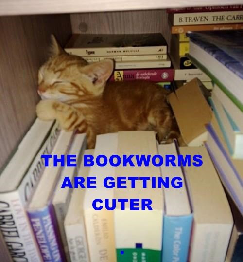True Book Addict...Books, Cats, and More: July 2018