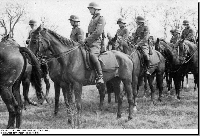 HISTORY IN IMAGES: Pictures Of War, History , WW2: Waffen SS: WW2 Elite ...