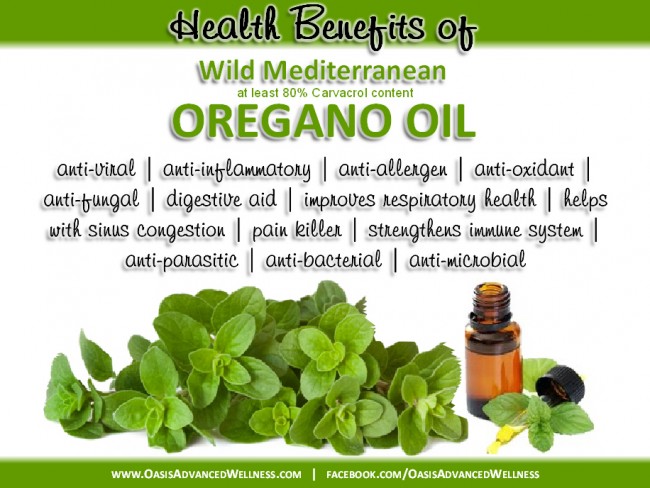 GREEK OREGANO OIL - HEALTH BENEFITS FOR HUMAN AND LIVESTOCK FROM ITS ...