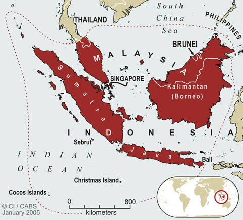 Borneo Lowland and Montane Forests