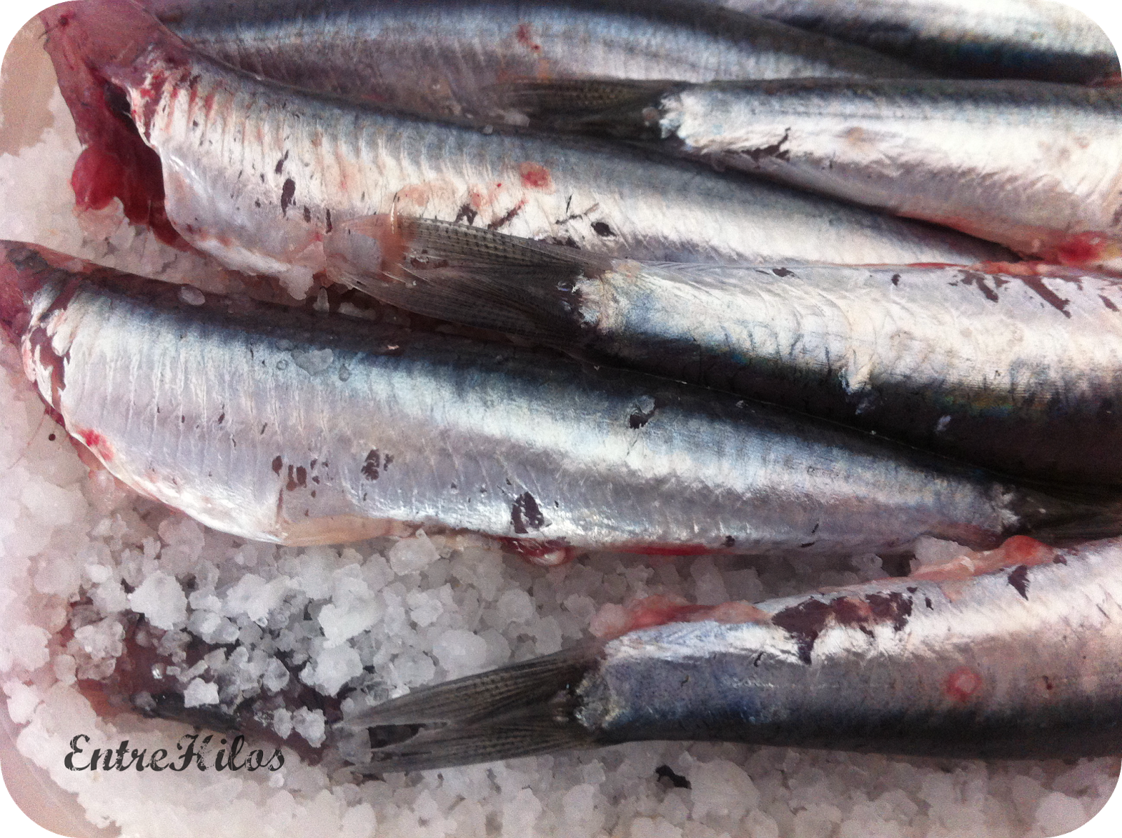 EntreHilos y algo más: Como hacer anchoas caseras