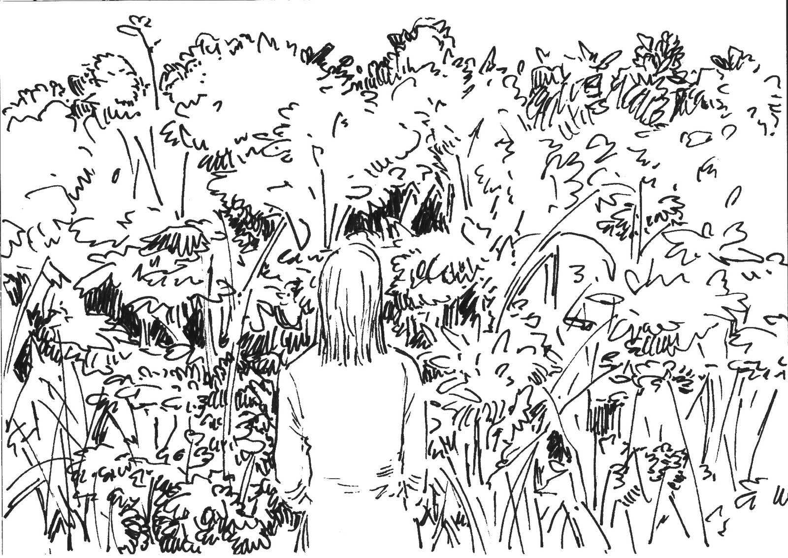 zeichnen - vermitteln - forschen: undergrowth