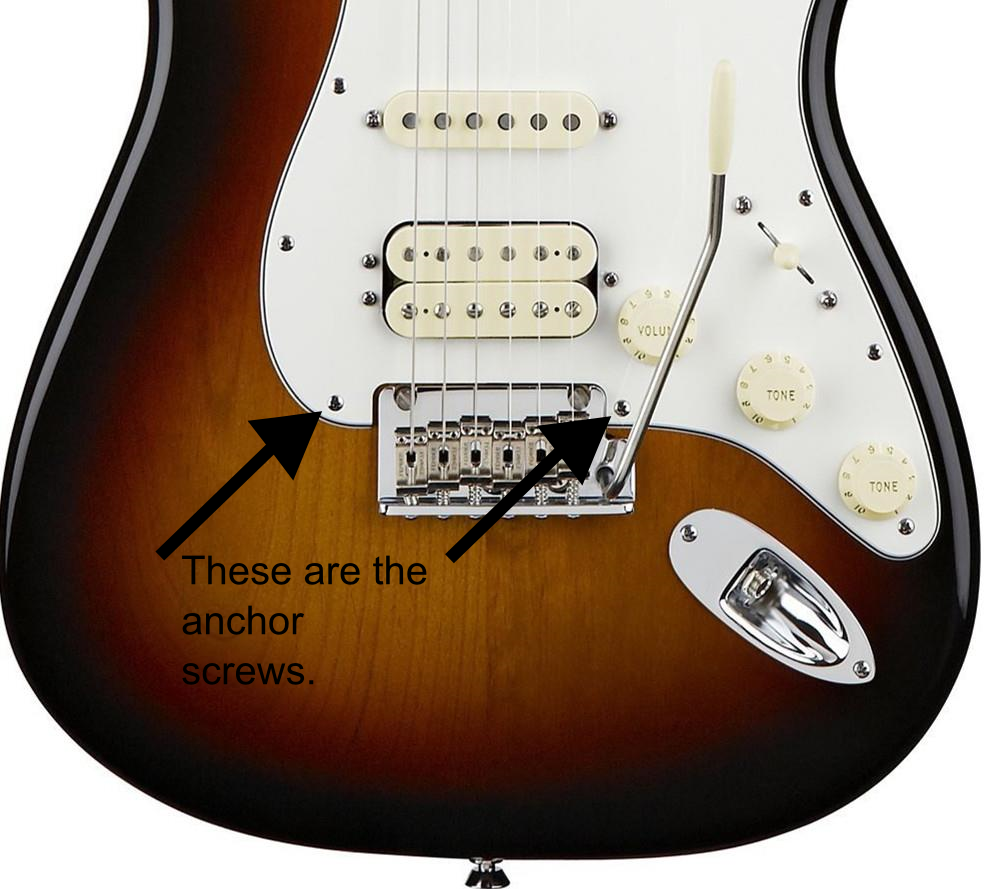 AaronLum.com: The DIY Sitarcaster Revisited.