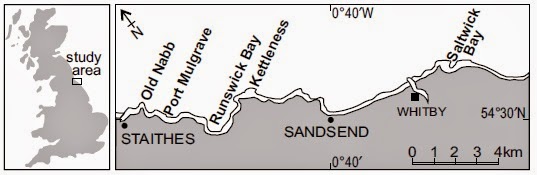 Sciency Thoughts: The reaction of marine invertebrates to global ...