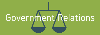 Public Relation By Ervinna: Government Relation