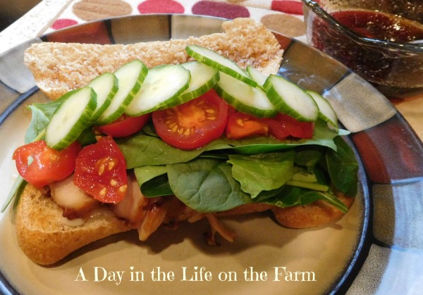 A Day in the Life on the Farm: Copy Cat Subway Sweet Onion Chicken ...