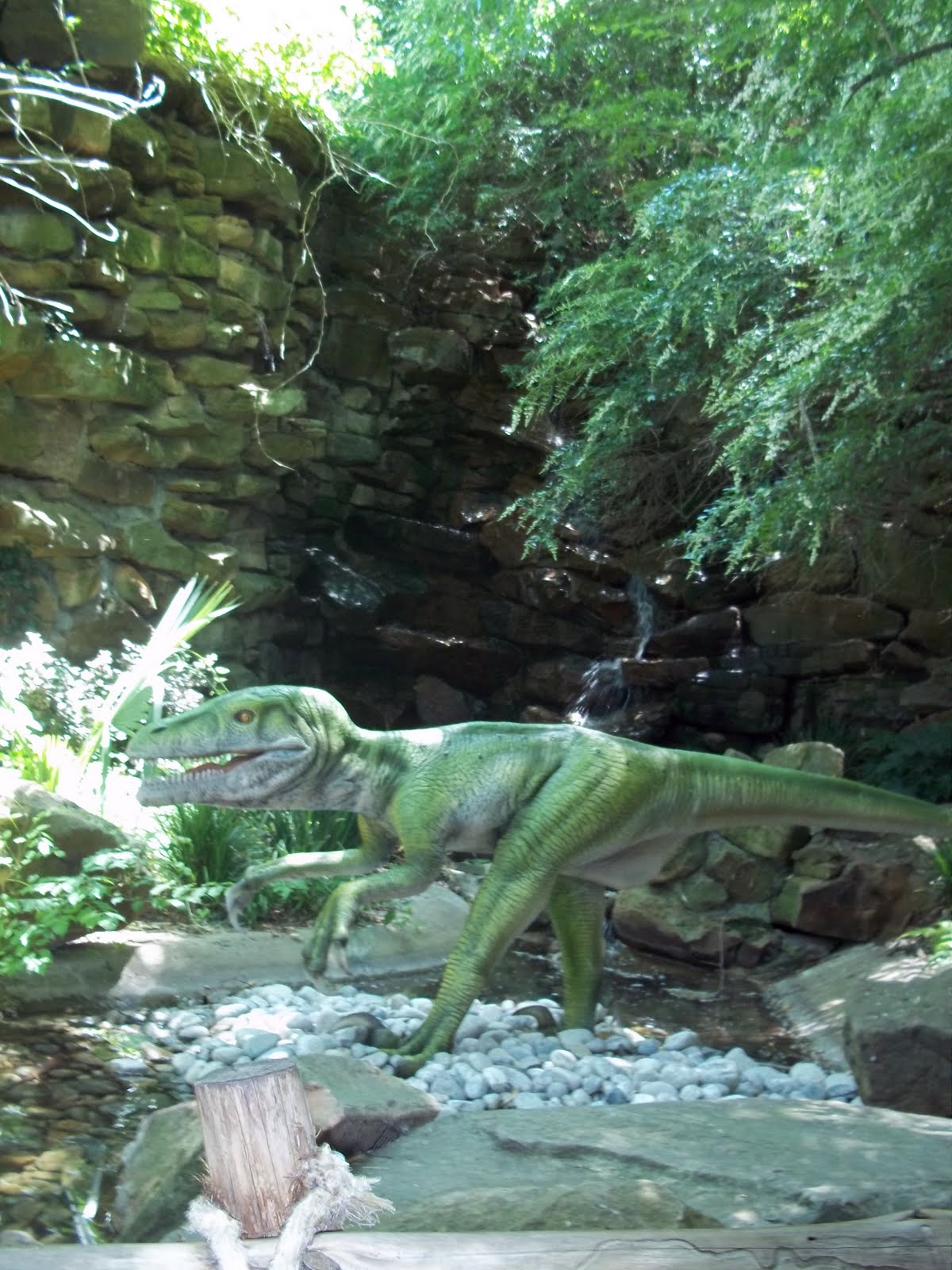 Burning Daylight: Dinosaurs Unleashed at the Fort Worth Zoo