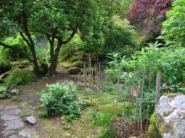 Every Day Is Special: May 4, 2011 - Greenery Day – Japan