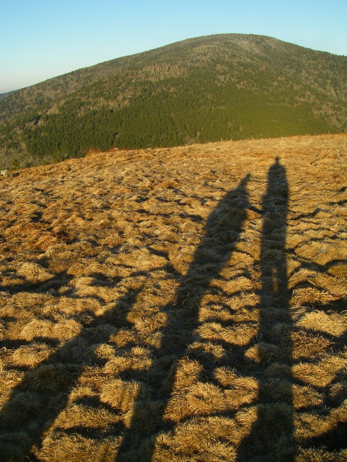 Peaks & Paths: Grassy Ridge and the Roan Highlands - Fellwalking ...
