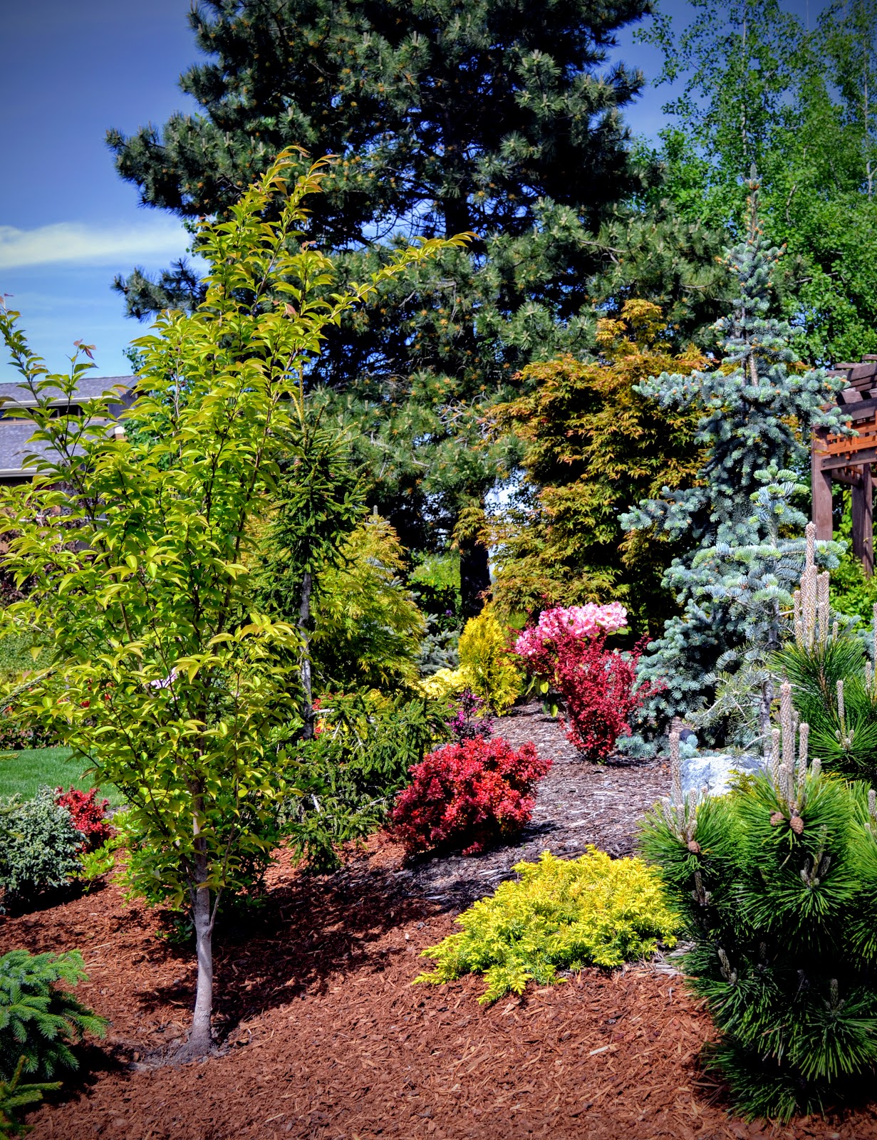 The Outlaw Gardener: Revisiting The Garden of Camille and Dirk Paulsen