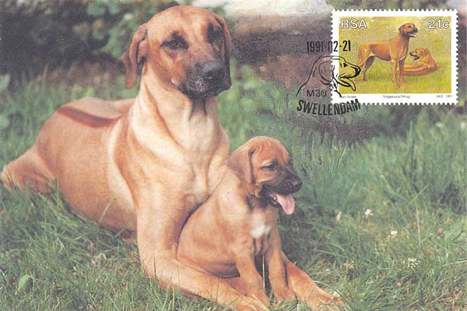 POSTCARDY: the postcard explorer: Ridgeback Dog Stamp - Republic of ...