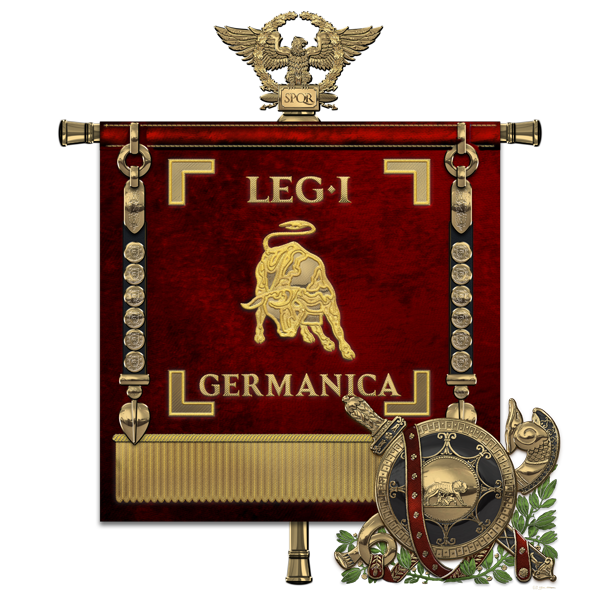 Military Insignia 3D