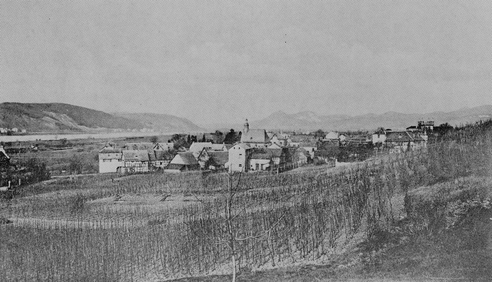 Weinkultur Unkel und Scheuren: Blicke auf Scheuren