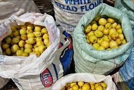 Namibian Wambo Culture: Food