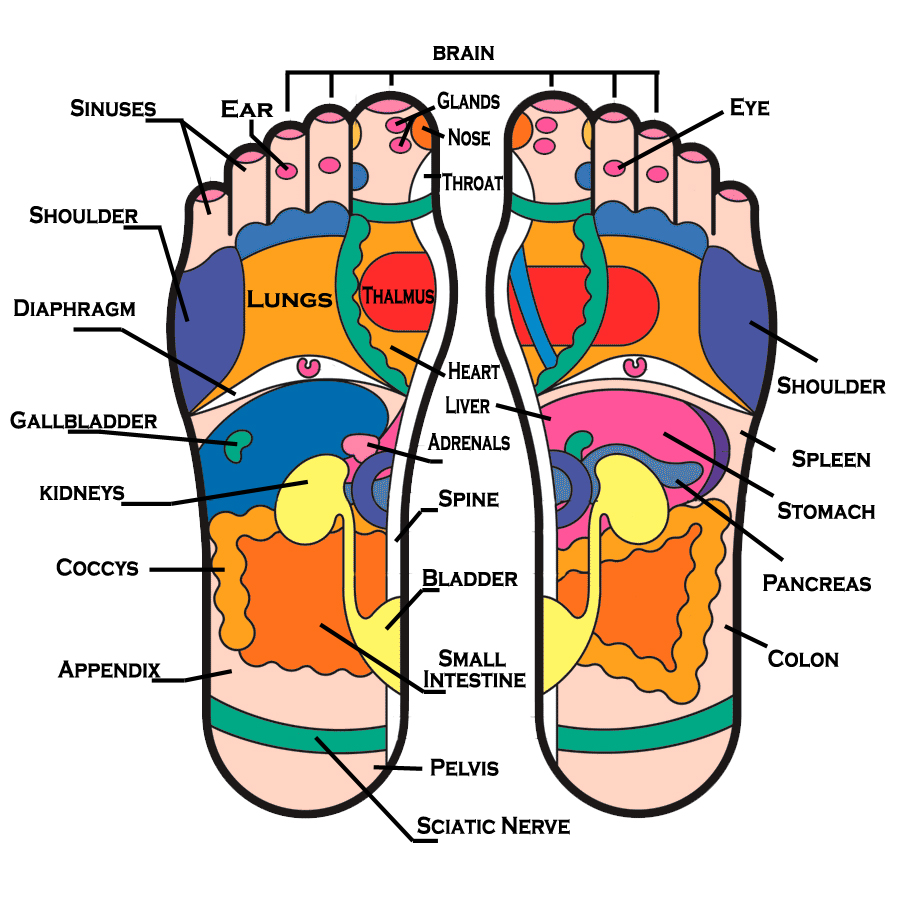 Coretan Si Monyet [gidong]: REFLEXOLOGY baik untuk terus sihat dan ...