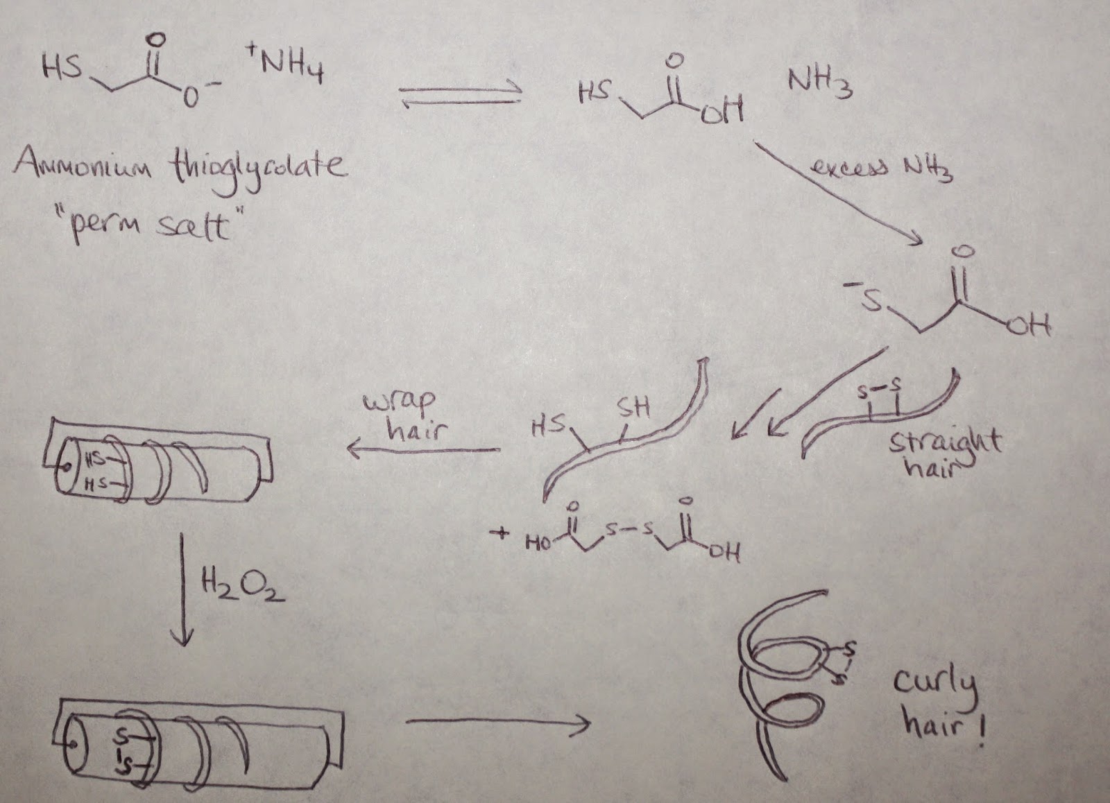 The Science Behind Hair Perming