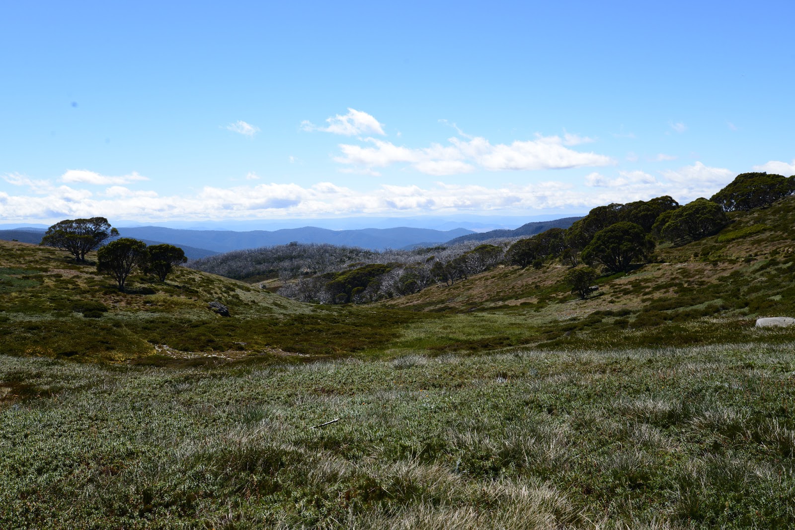 walkabouters club of victoria inc: Lay Day