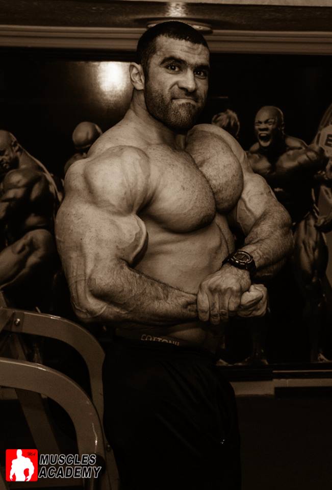 Muscle Lover: Egyptian muscle beast Ahmad El Araby