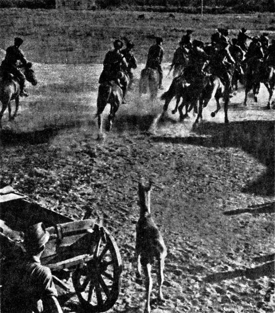 Neues Europa: The Cossack Cavalry Corps of the Waffen-SS