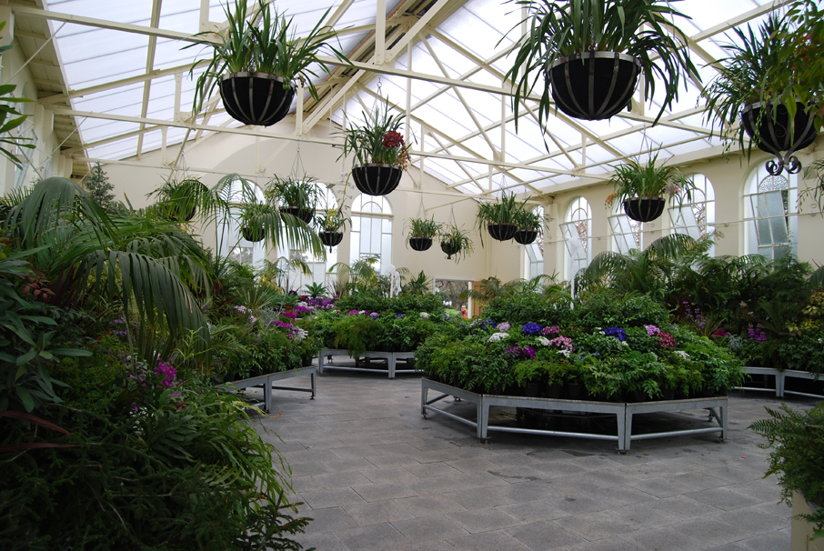 Tokyo Bird Song: John Hart Conservatory #1