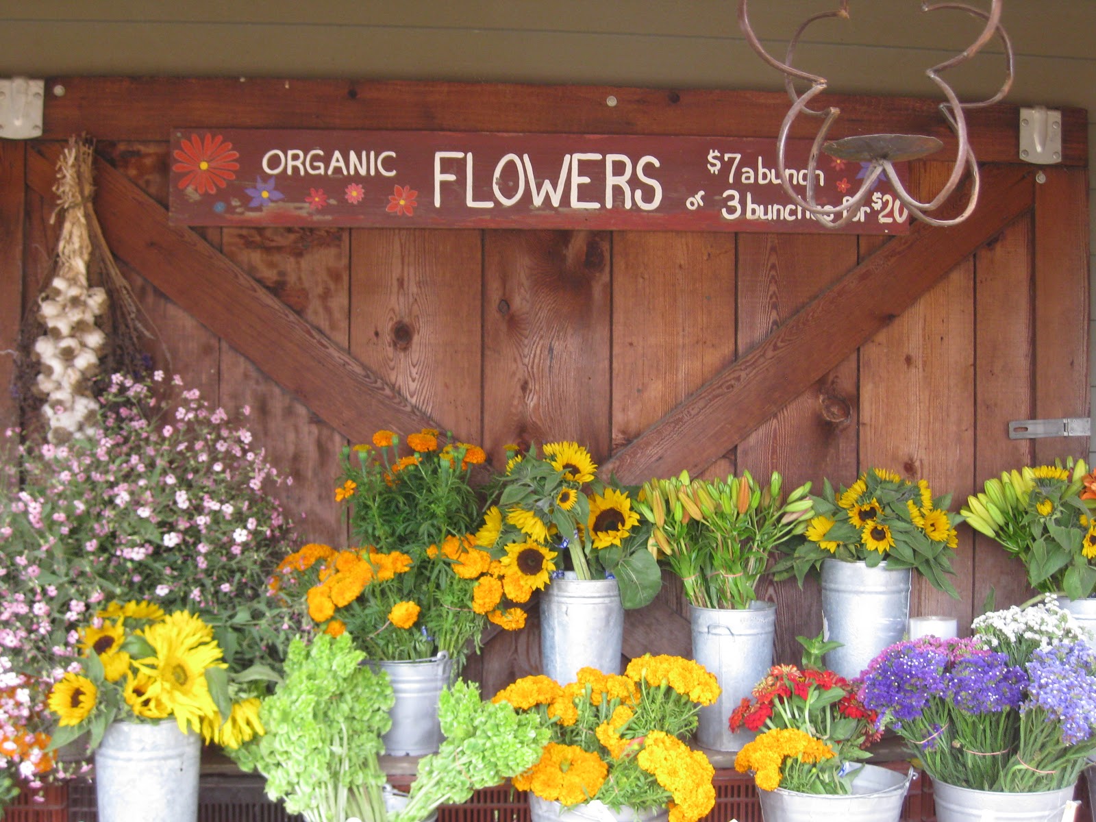 the-pastry: Out+About Outta Town -- Earthbound Farm Stand in Carmel Valley