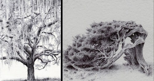 Design Stack: A Blog about Art, Design and Architecture: Intricate ...