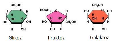 Organik Bileşiklere Giriş ve Karbonhidratlar | BİYOLOJİ OKULU