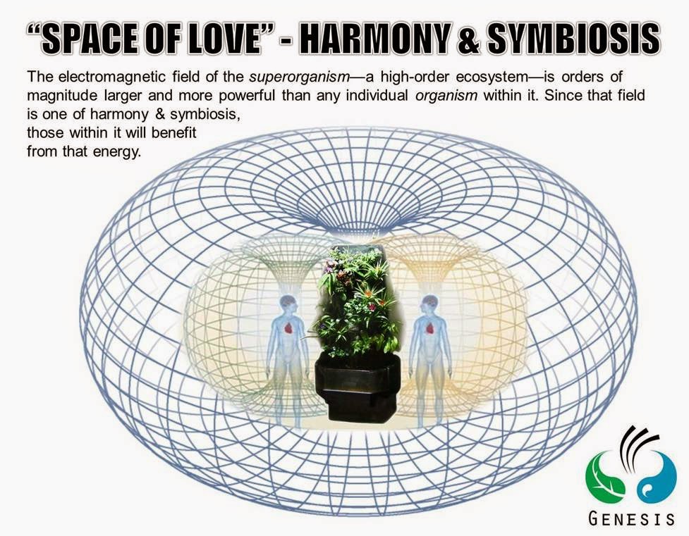 Genesis Eco Fund for Advanced Human Habitat: What can the Ferguson ...