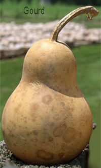 Vegetables Names with Meaning and Picture | Vegetable Vocabulary ...