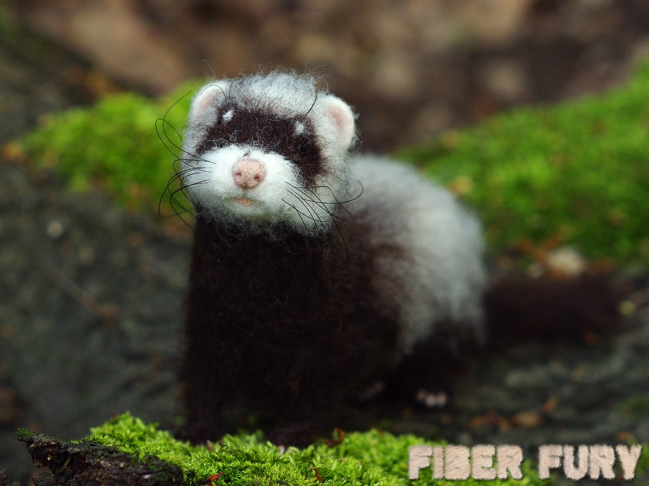 Fiber fury : Fretka/ Ferret