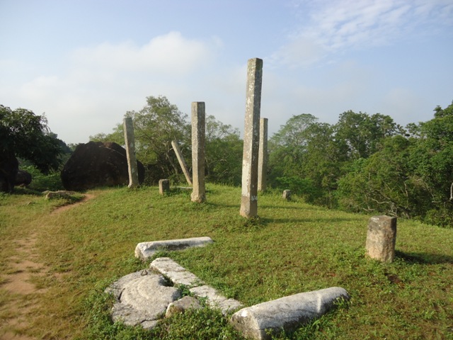 Upulvan - JungleKey.in Image