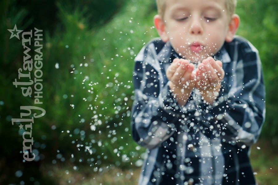 Emily Strawn Photography