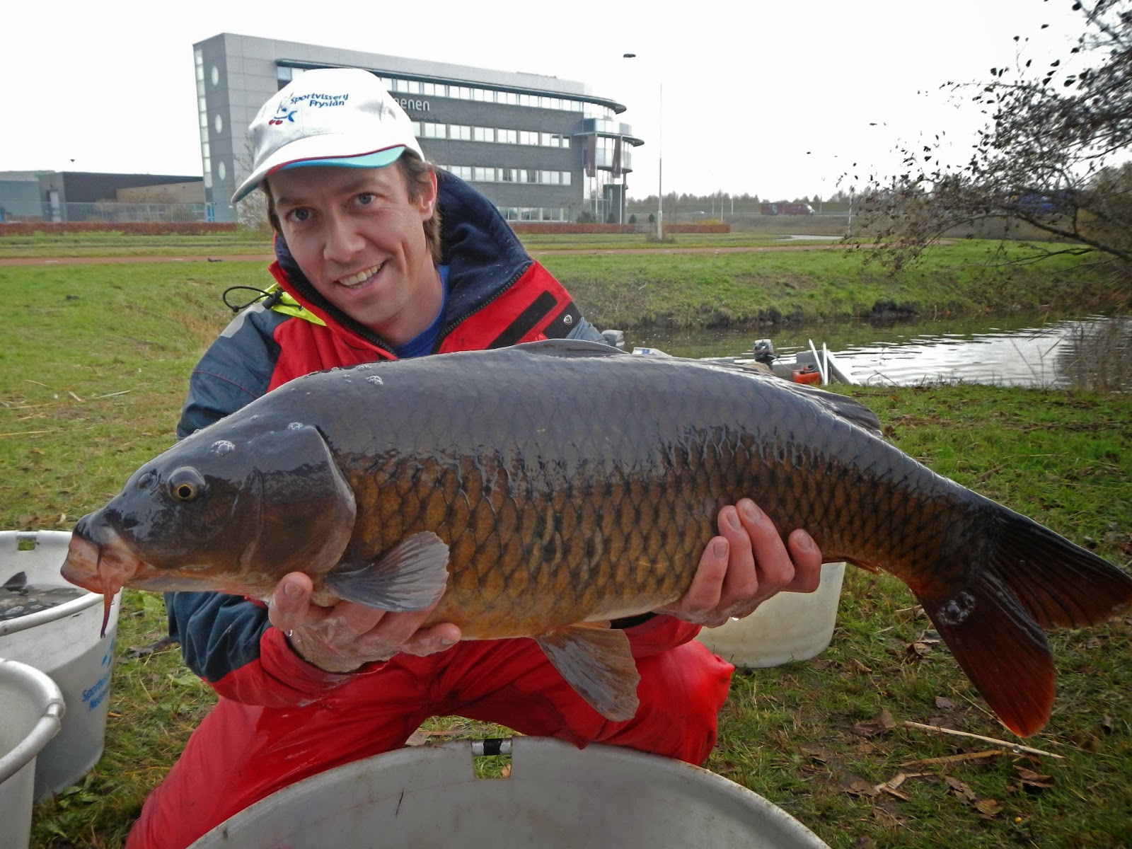 bijzonder grote karper | Visserijonderzoek P. Kalkman