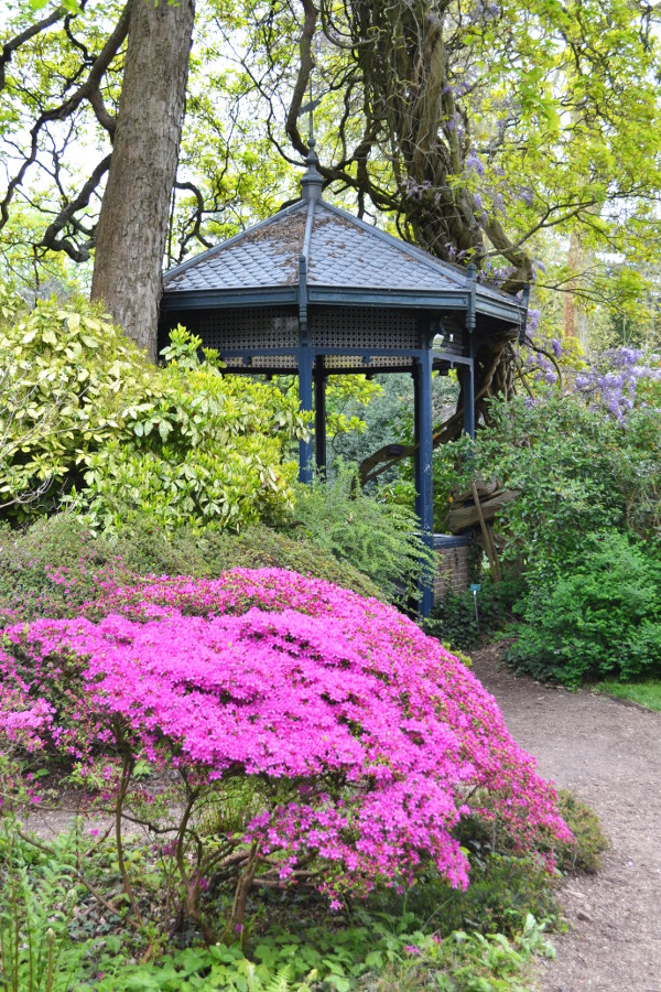 Art et glam: Visite de l'arboretum de la Vallée-aux-Loups à Châtenay ...