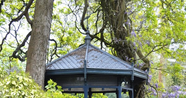Art et glam: Visite de l'arboretum de la Vallée-aux-Loups à Châtenay ...