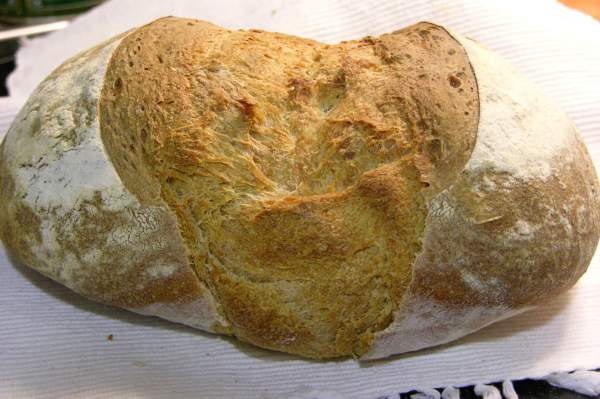 EL SEXAGENARIO: GALICIA