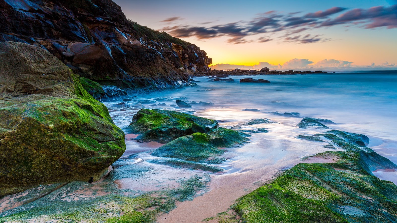 Curl Curl Beach Sydney 5k Wallpapers