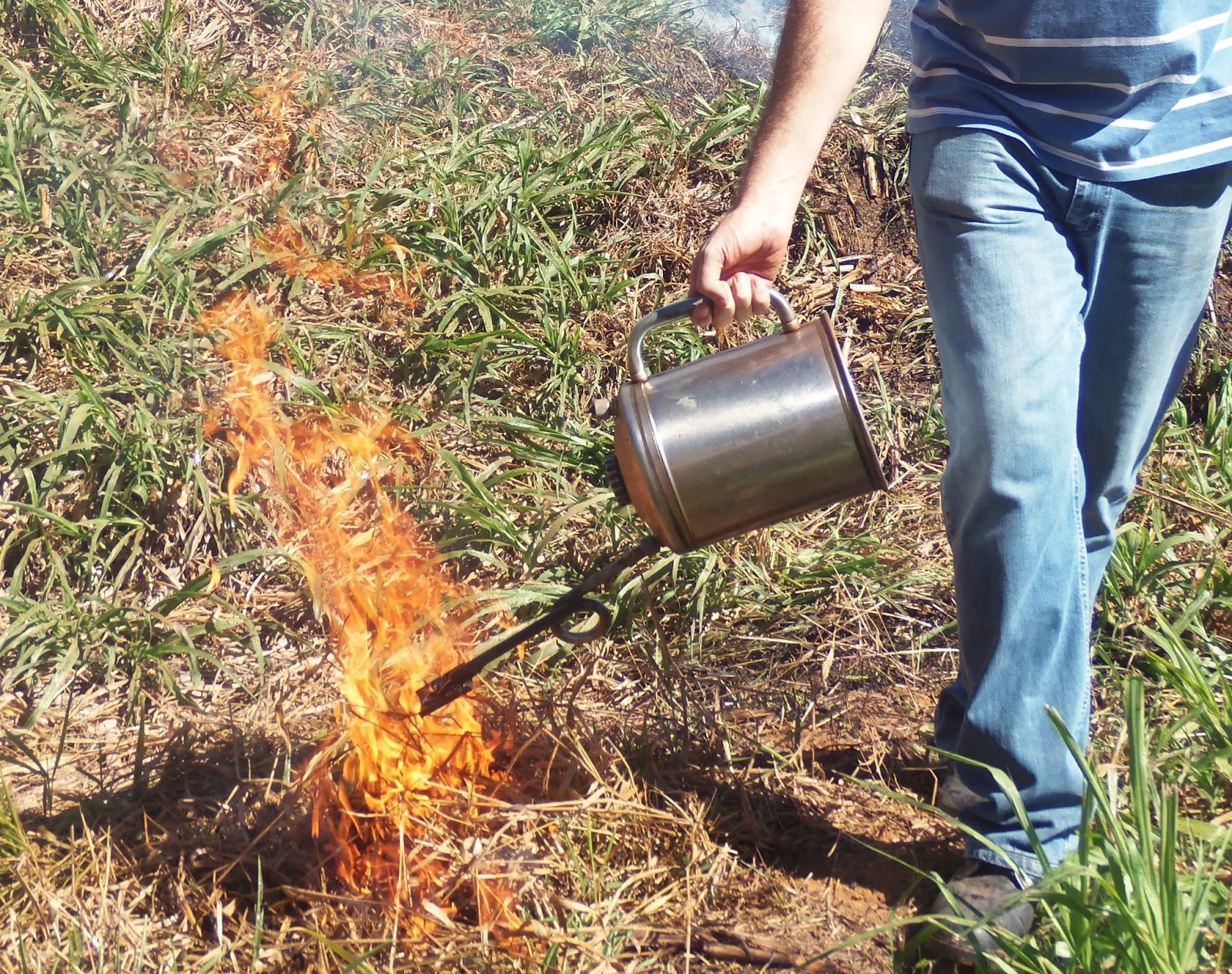 PREVFOGO : Formas de Combate aos incêndios florestais